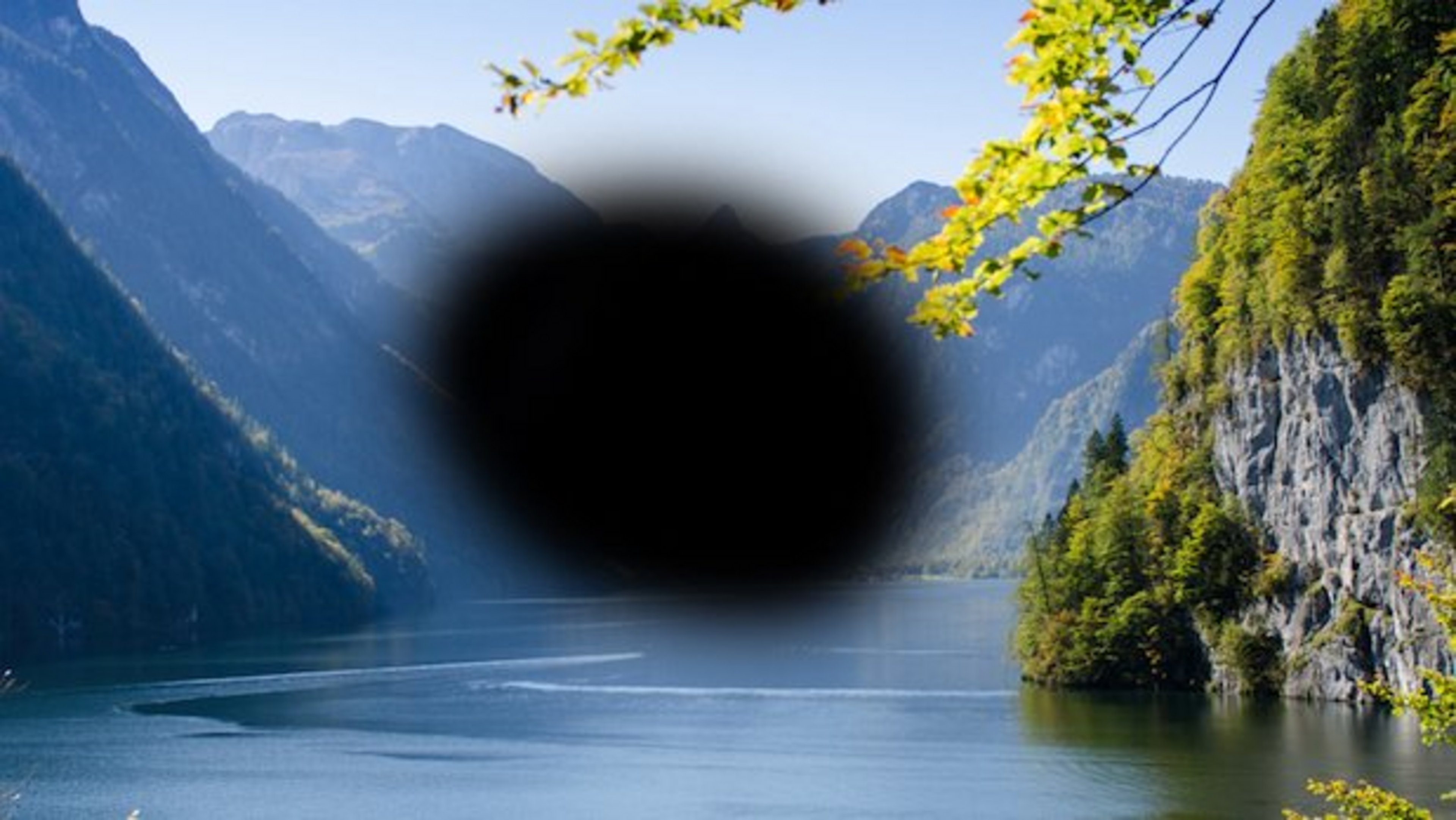 Makuladegeneration: Ursachen, Symptome und Arten – Eschenbach Optik